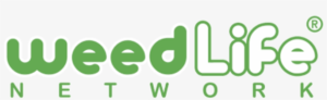 Top Cannabis Social Networks | [2022 List]